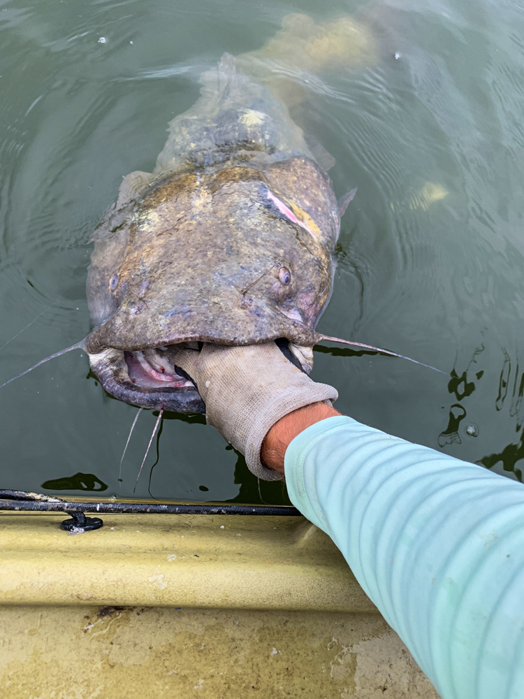 Kayak Catfishing Tournaments by Justin Johnston - Catfish Now