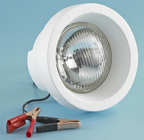 Break Out the Lights for Summer Catfish by Keith “Catfish” Sutton ...