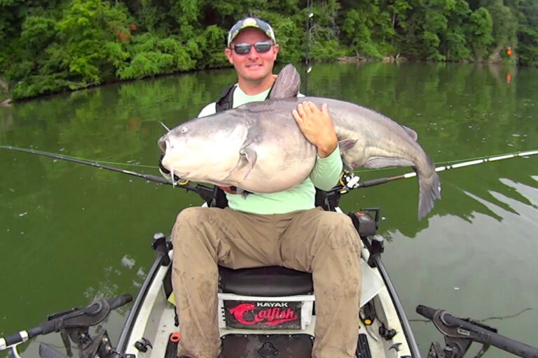 Catfish Profiles in Passion – Justin Johnston, Kayak Catfish - Catfish Now