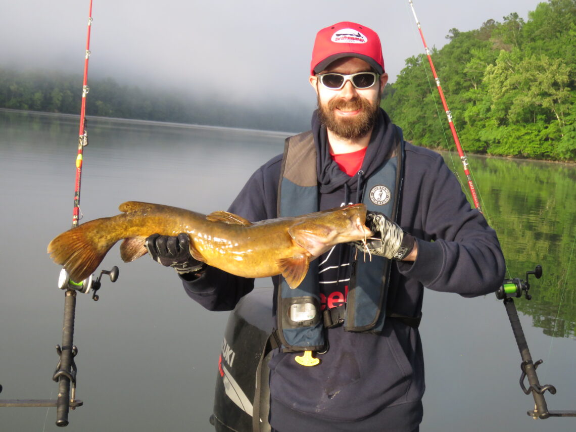 Flathead Time – Catfish Now