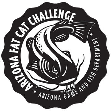 Fat Cat Challenge – Catfish Now