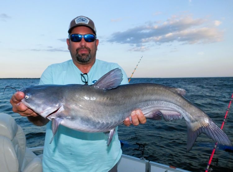 Anchoring or Drift Fishing: Which is Best for You? Story and photos by ...