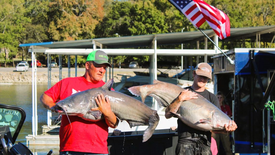 King Kat at Wheeler Lake — How They Fished – Catfish Now