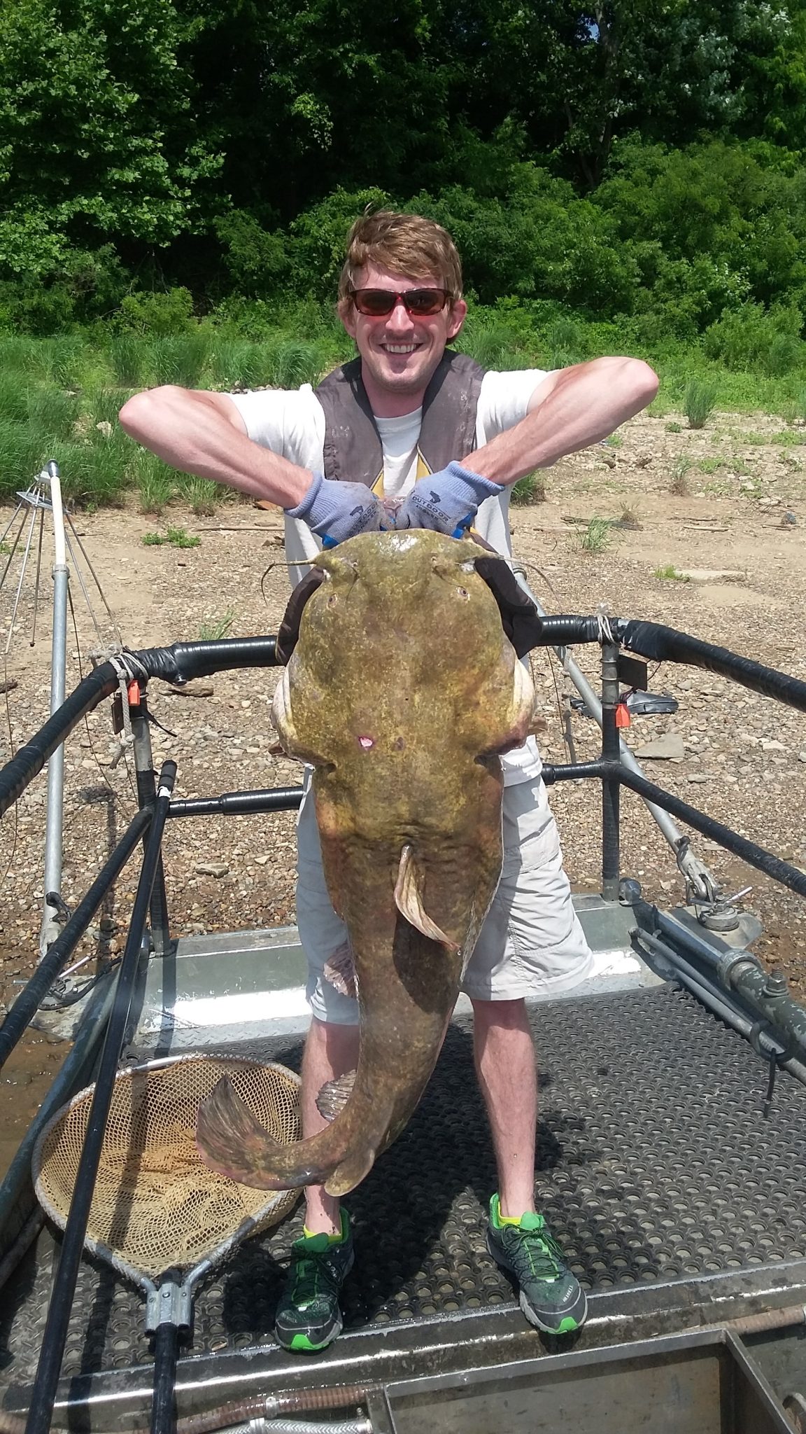 The Future Looks Bright for Ohio River Flatheads By Richard Hines ...