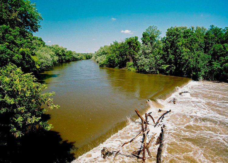 Catfish Conservation - Catfish Now