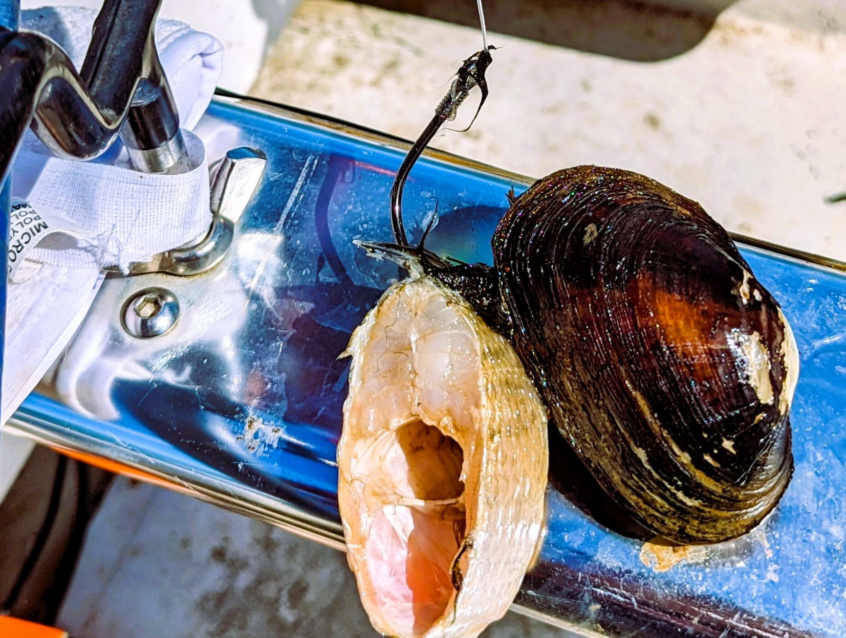 The Santee Cooper Lakes Story and photos by Terry Madewell - Catfish Now